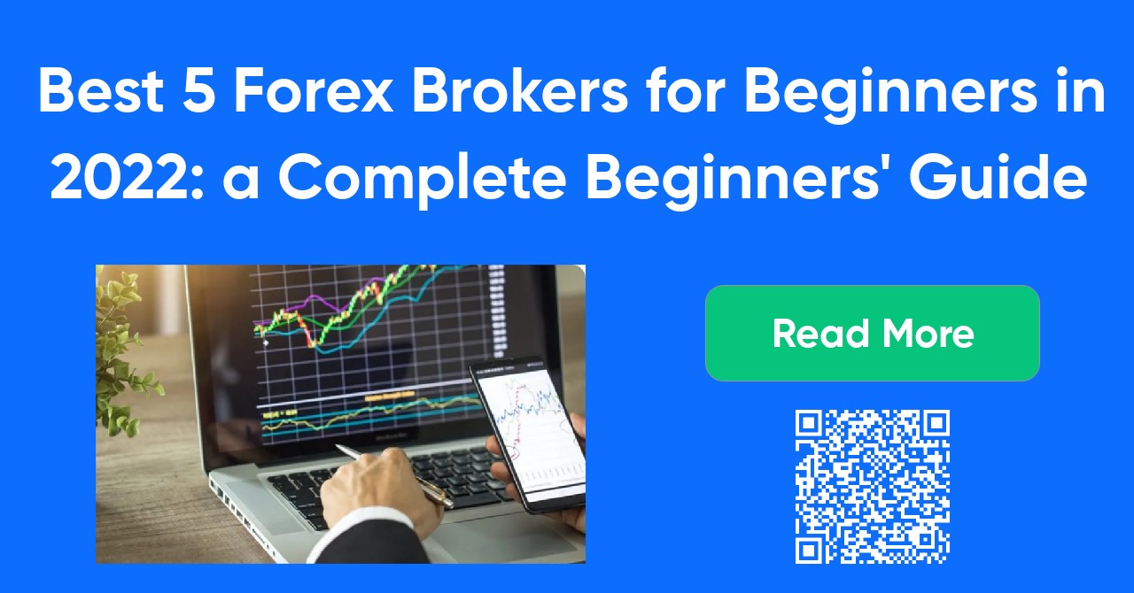 Best 5 Forex Brokers for Beginners in 2025 | Beginners' Guide